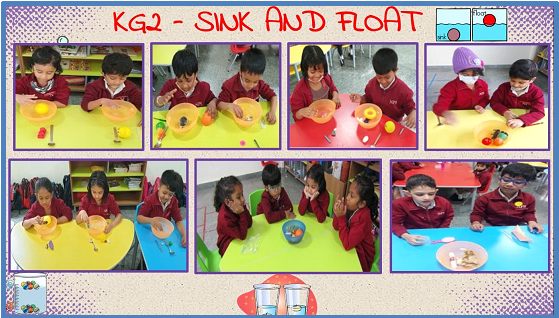 SINK AND FLOAT ACTIVITY